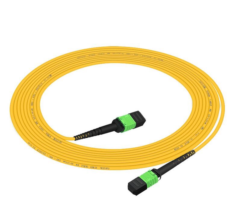 Fiber Optic MPO Cable Female Connector Jumper 2m (6ft) OS2 9/125 24 ...